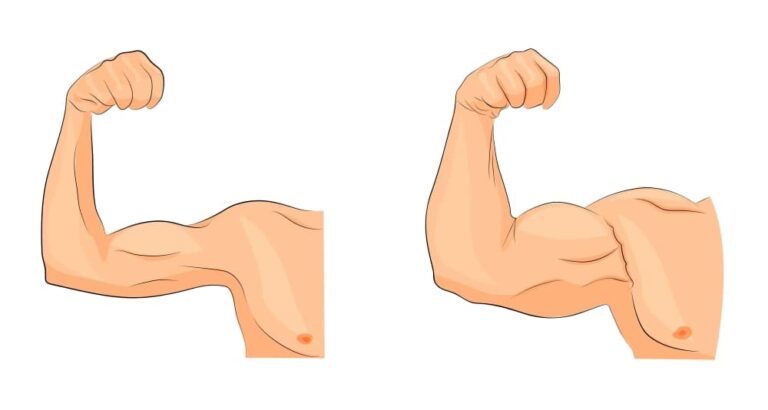 Muscle Hypertrophy: What Is It and How Is It Achieved?